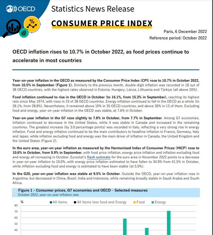 OECD 10월 CPI, 10.7% 올라 9월 10.5%보다 증가폭 소폭 늘어 :: 공감언론 뉴시스통신사