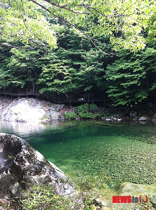 [뉴시스아이즈]자, 떠나자!-지리산 뱀사골 계곡 트레킹 :: 공감언론 뉴시스통신사